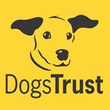 Dogs Trust - Information Now